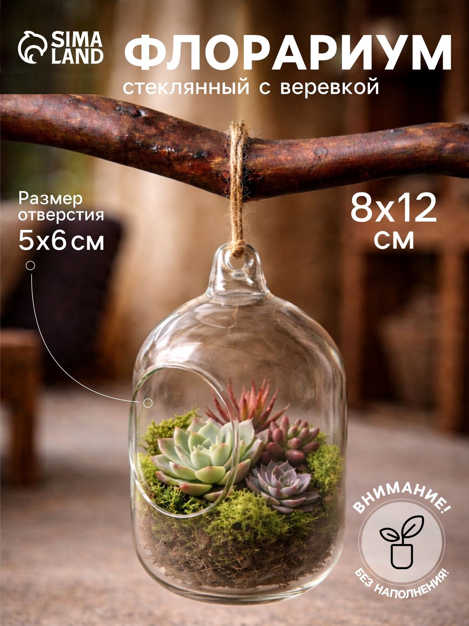 Флорариум Сима-ленд «Цилиндр», подвесной, стекло, с верёвкой, d=5×6 см, 8×12 см