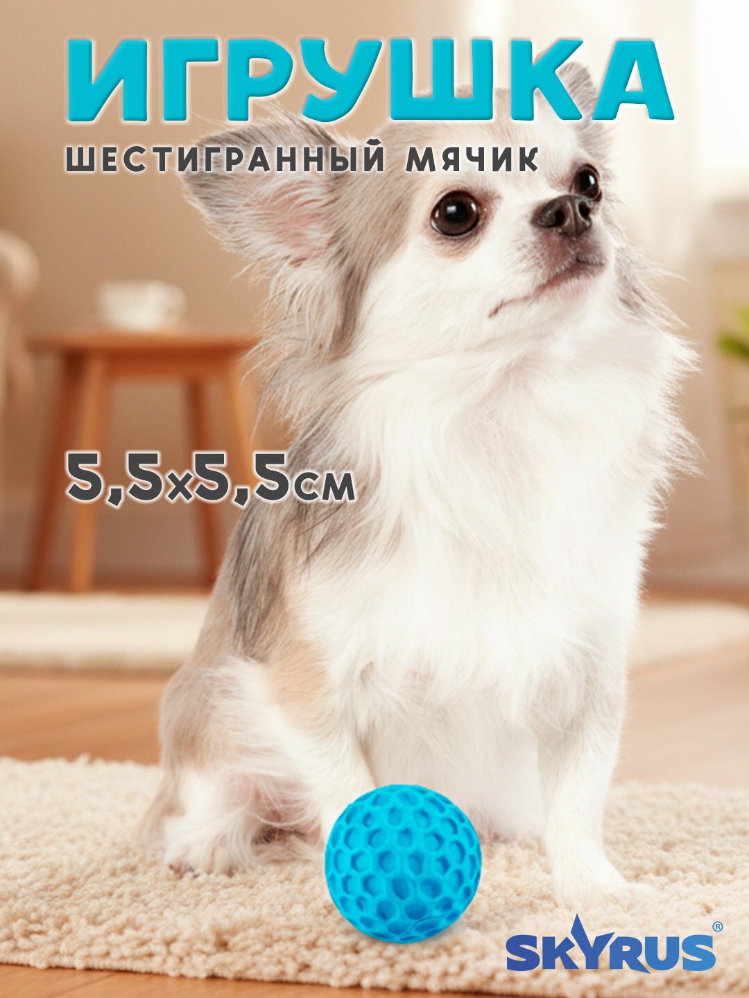 Игрушка SkyRus "Шестигранный мячик" для собак, резиновая, голубая, 5.5х5.5см