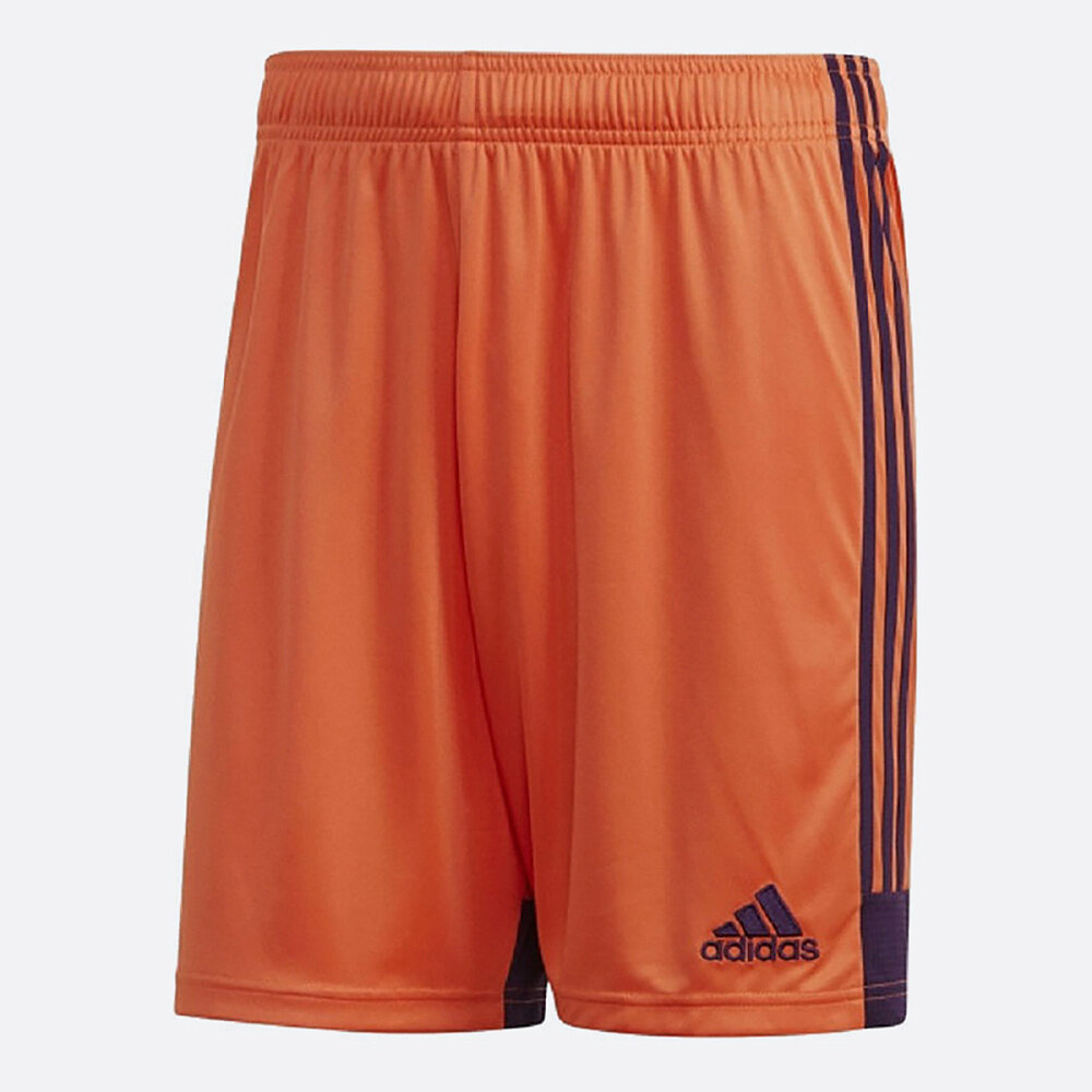 Шорты спортивные Tastigo 19 Shorts