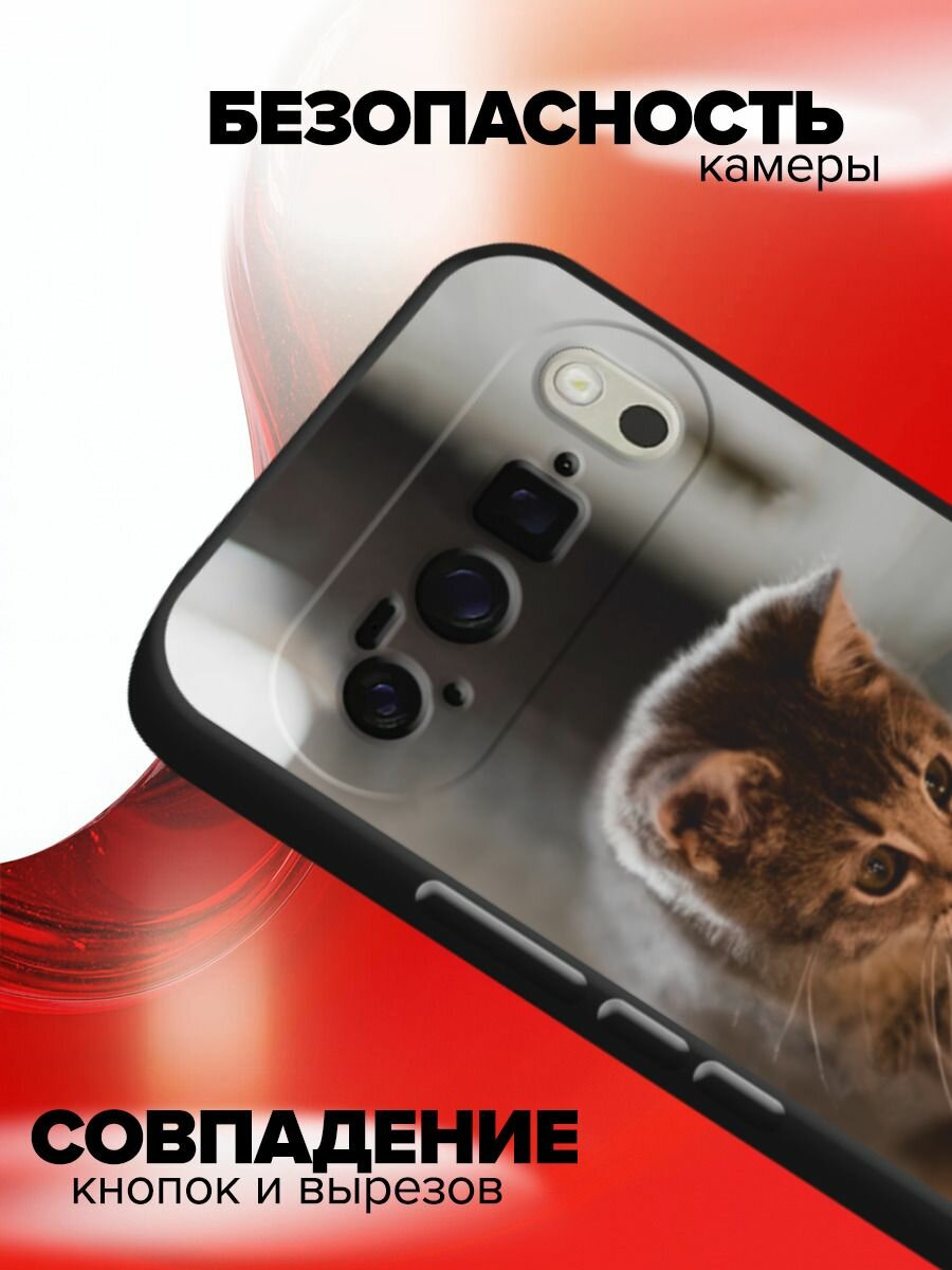 Черный матовый чехол на Google Pixel 10 Pro / Гугл Пиксель 10 Про с принтом Любознательный котенок — фото 1