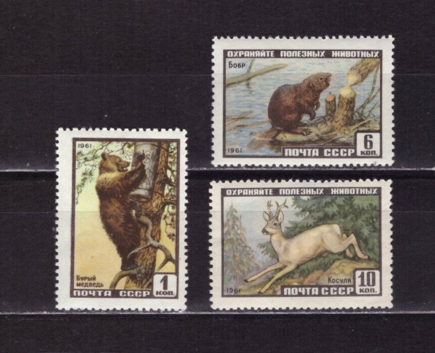 СССР, 1961. (2535-37) Фауна