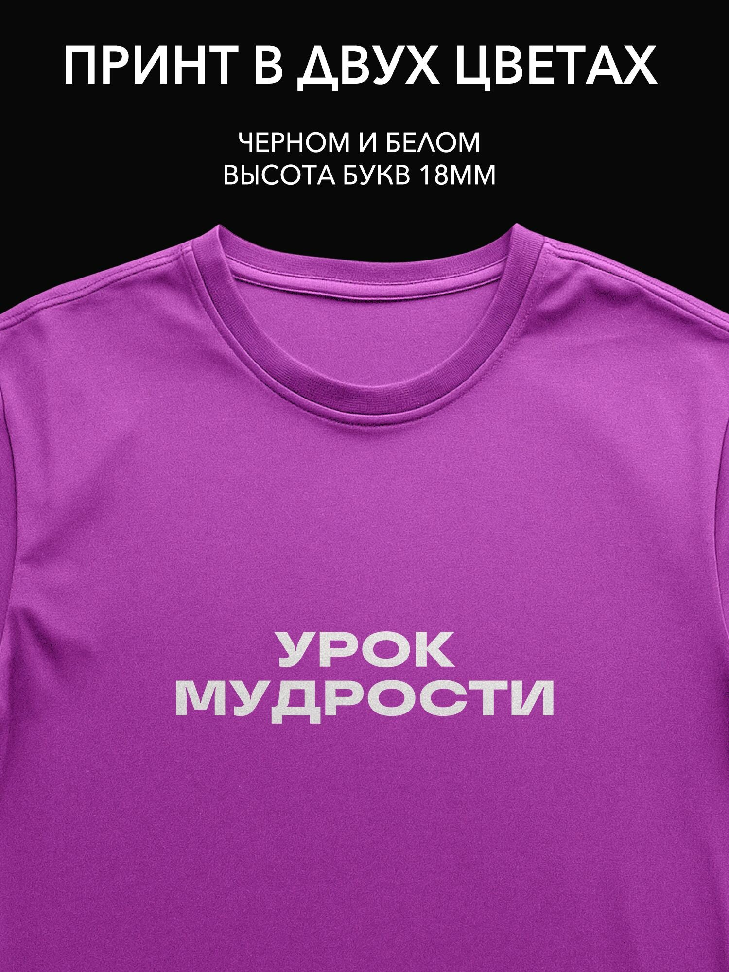 Термонаклейка 'Урок мудрости' для футболки и одежды