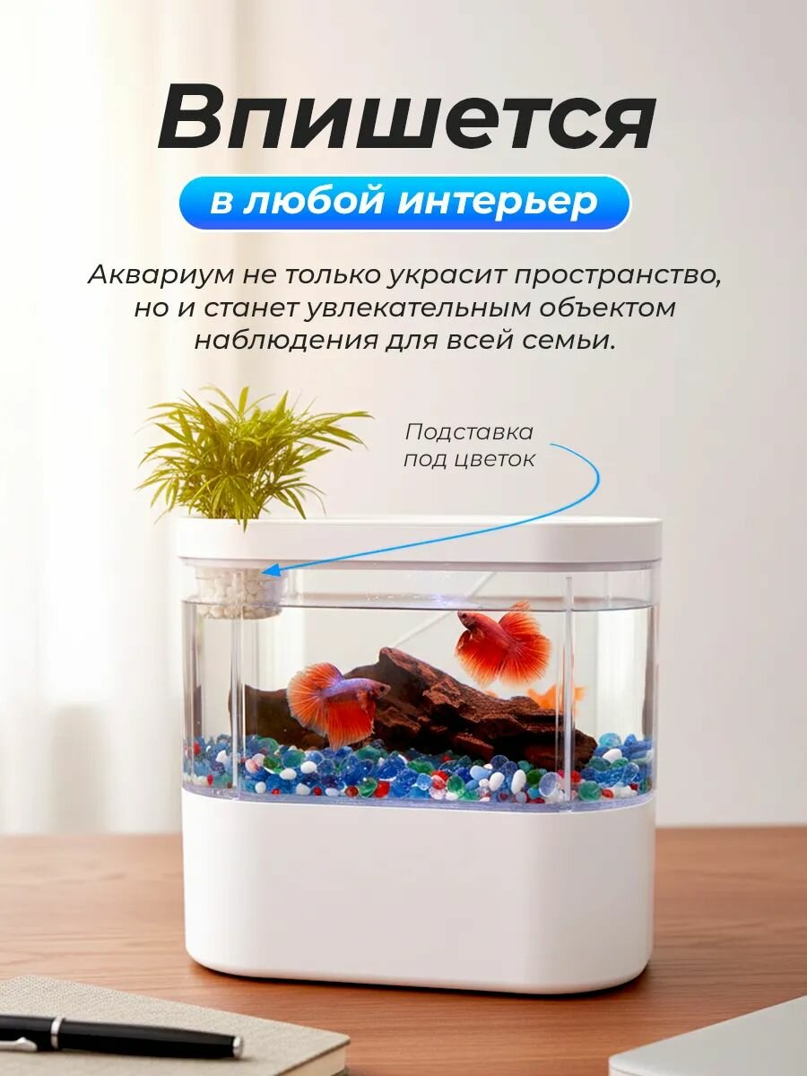 Аквариум акваферма для рыбок — фото 1