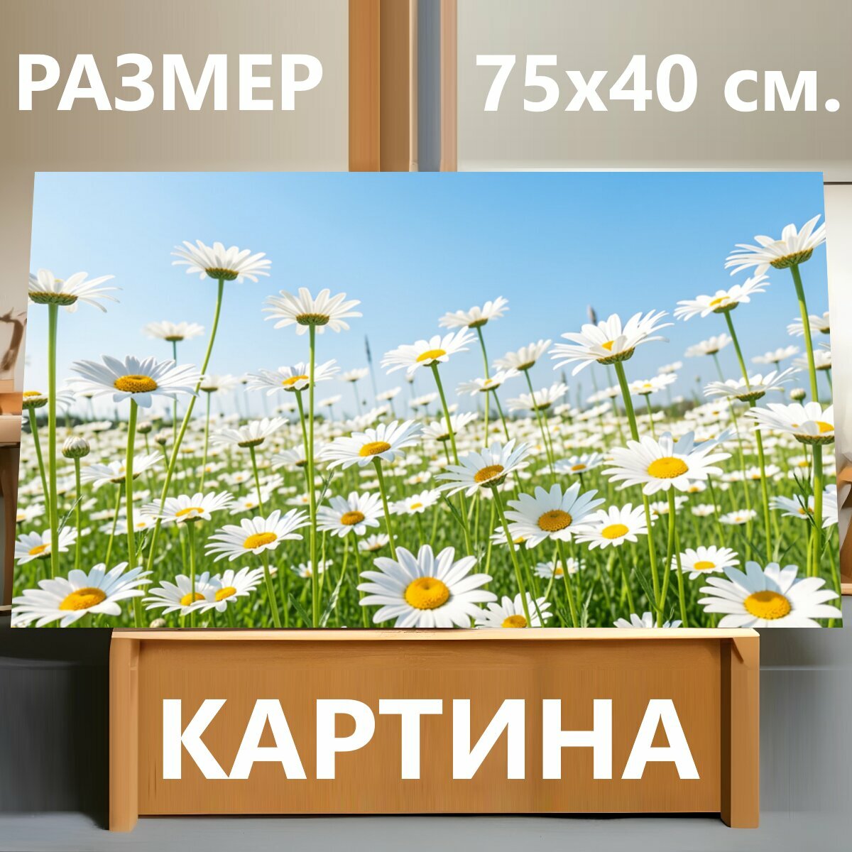 Картина на холсте "Ромашковое поле под голубым небом. Летний луг с множеством белых ромашек и ярко-зелёной травой под чистым синим небом." на подрамнике 75х40 см. для интерьера
