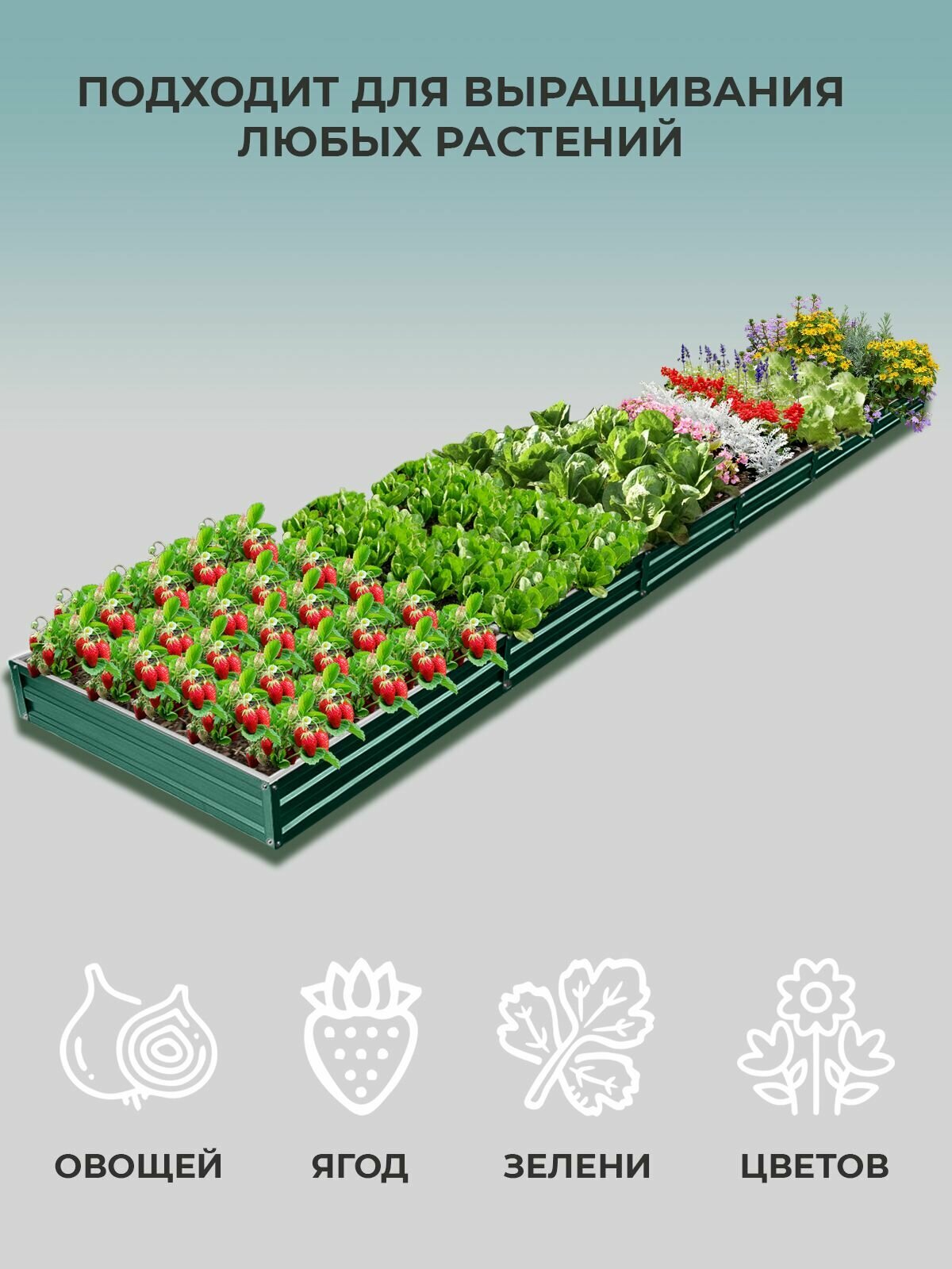 Грядка оцинкованная с полимерным покрытием 0,8х6м высота 15 см. Цвет: зеленый