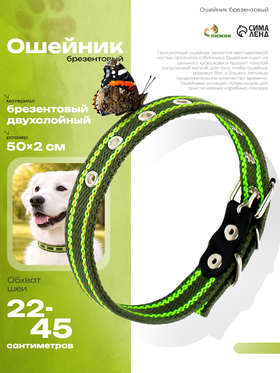 Ошейник брезентовый безразмерный двухслойный, 50 х 2 см, ОШ 22-45 см, хаки/зелёный