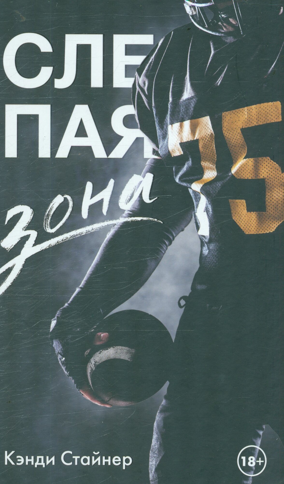Слепая зона (Стайнер К.)