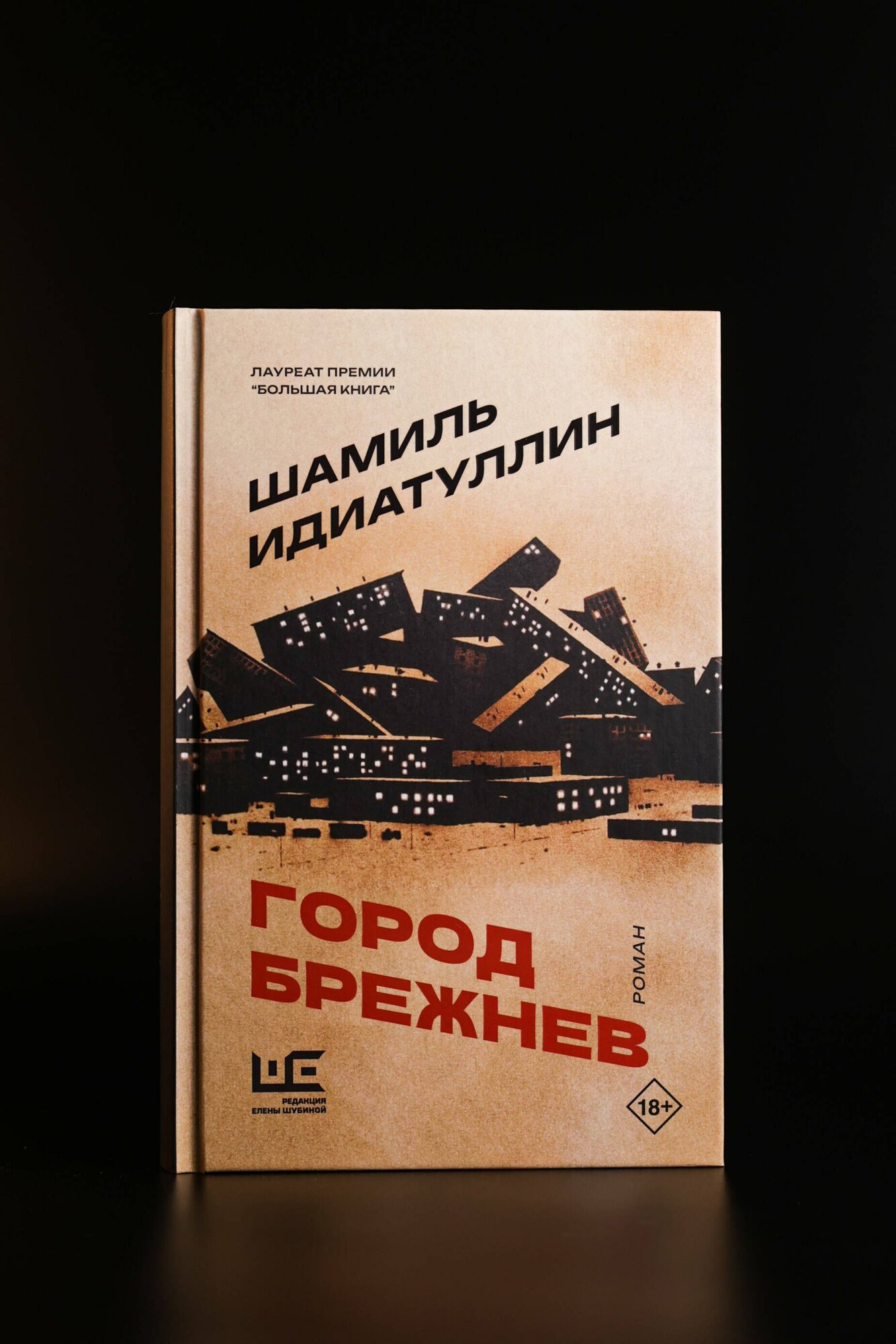 Город Брежнев — фото 1