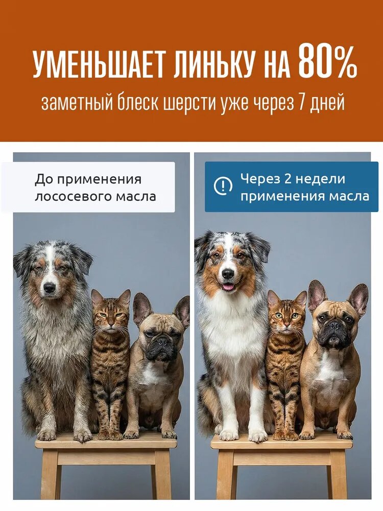 Лососевое масло для собак — фото 1