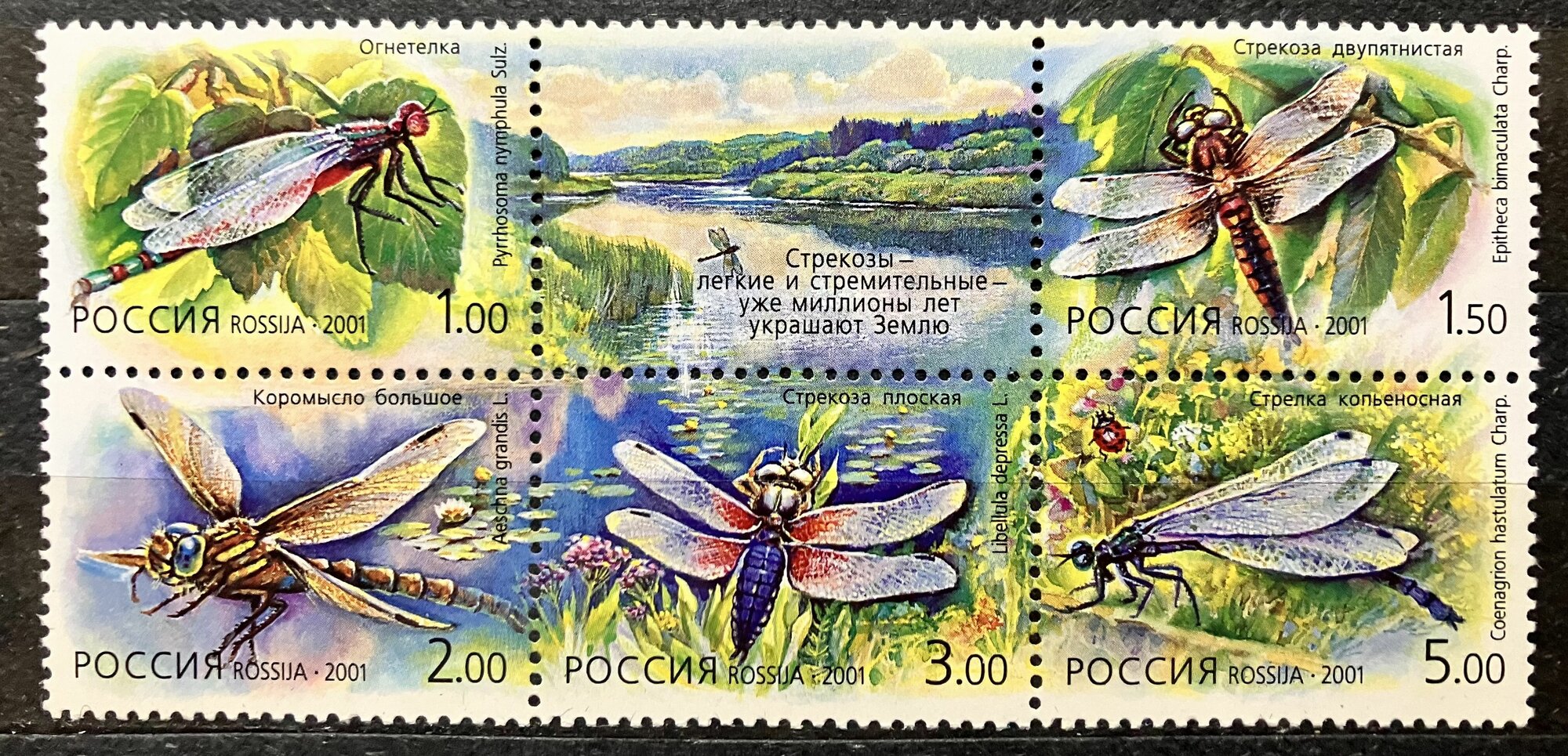 Россия 2001, Фауна. Насекомые