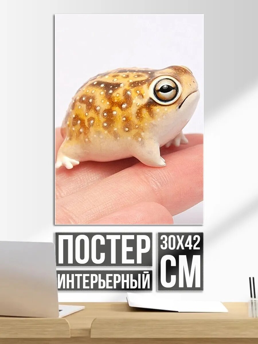 Плакат постер Милая лягушка