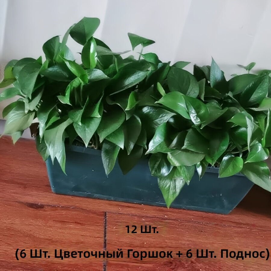 Набор прямоугольных цветочных горшков для перил с поддонами, 12 шт. (6 горшков + 6 поддонов), цвет папоротниково-зеленый