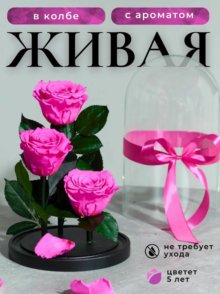 Роза в колбе подарок на день рождения