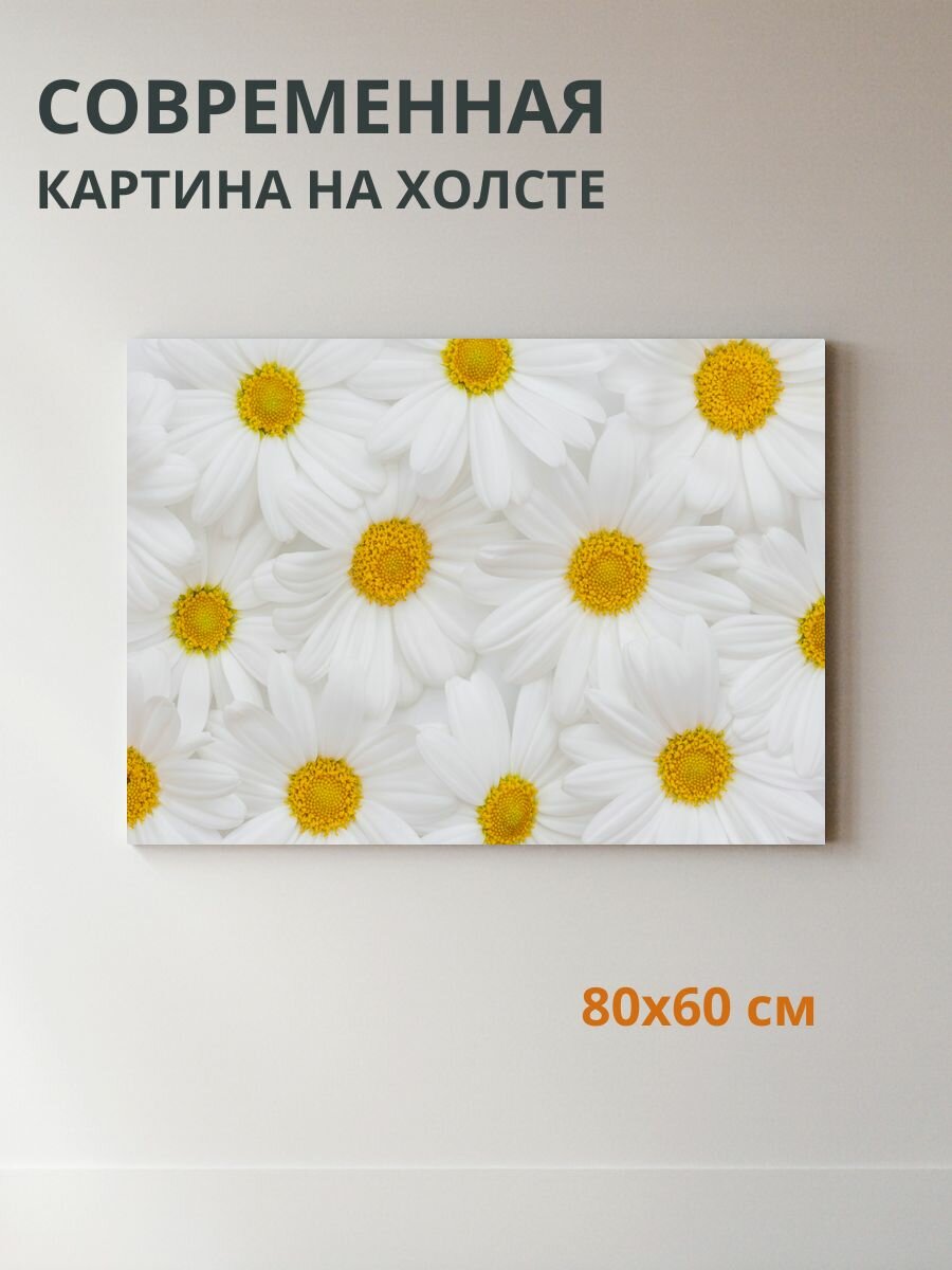 Картина на холсте Ромашки 80x60 см