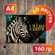 Альбом для рисования Зебра А4 60 листов