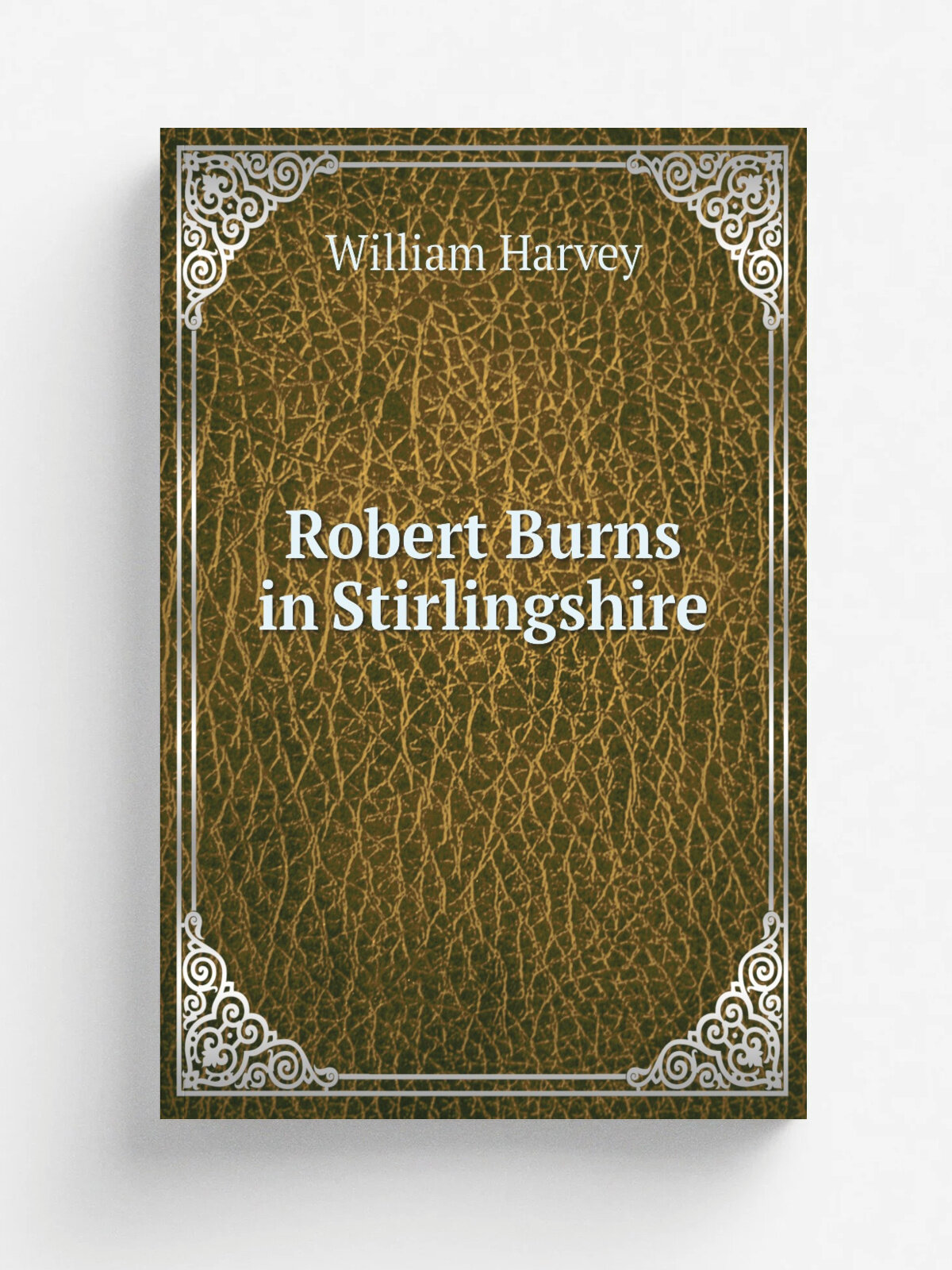 Robert Burns in Stirlingshire