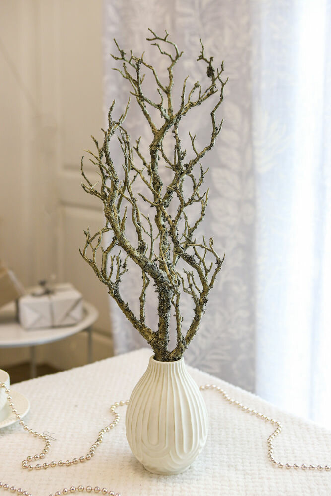 Декоративная искусственная ветка денюд брюн, пластик, 58 см, EDG 2300352A999