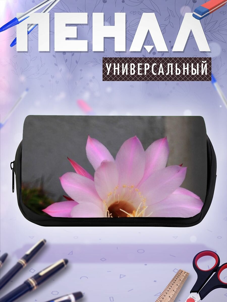 Школьный пенал цветковое растение лепесток