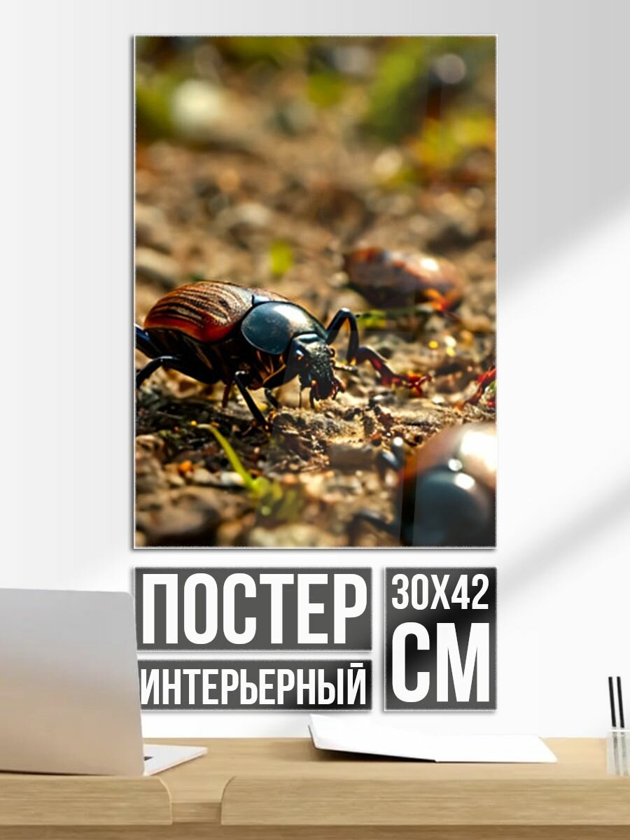 Постер на стену Поле с жуками