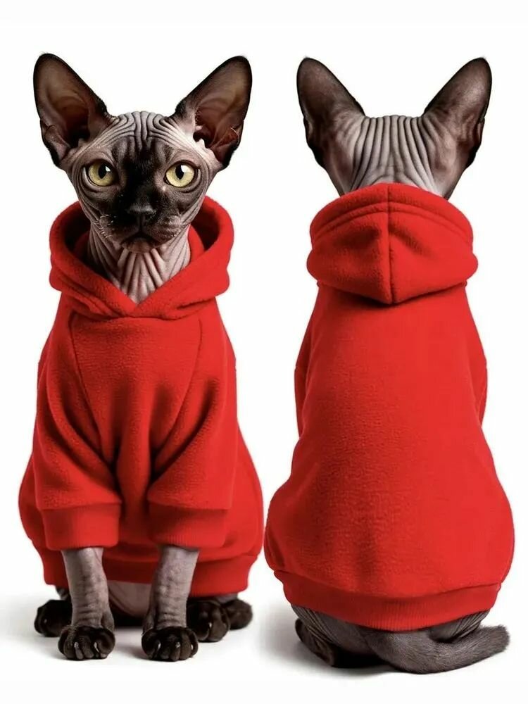Одежда для кошки Толстовка для сфинкса худи на кота для мелких пород собак 1 штука