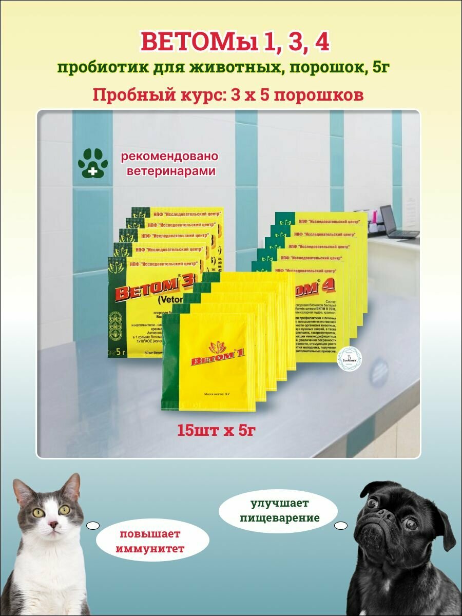 Пробный курс Ветом 1,3,4 пробиотик для животных, порошок 5г, 3х5шт