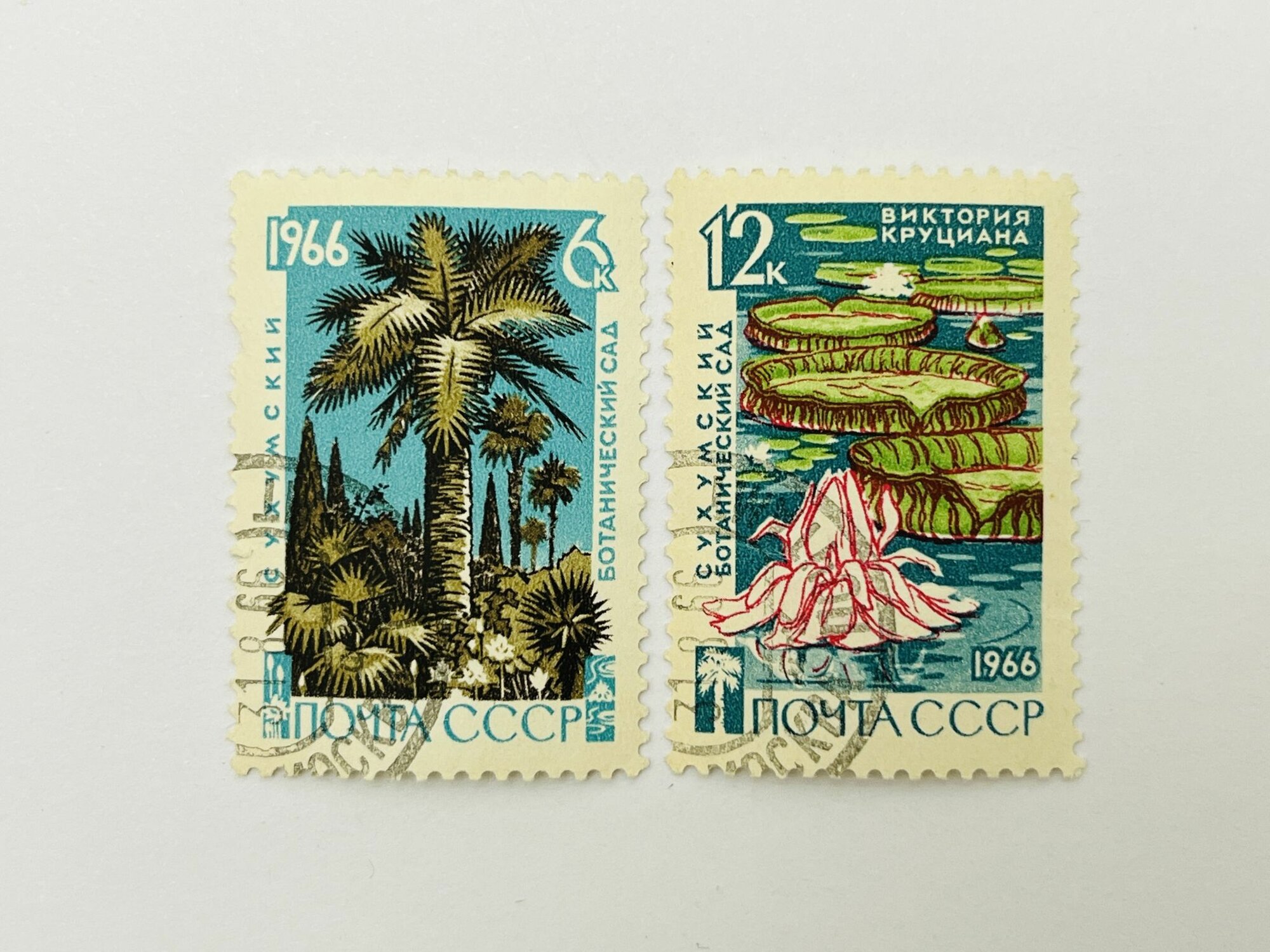 Сухумский ботанический сад Академии наук Грузинской ССР. К 125-летию создания. Флора. СССР. 1966. Загорский: 3290-3291. Гашен