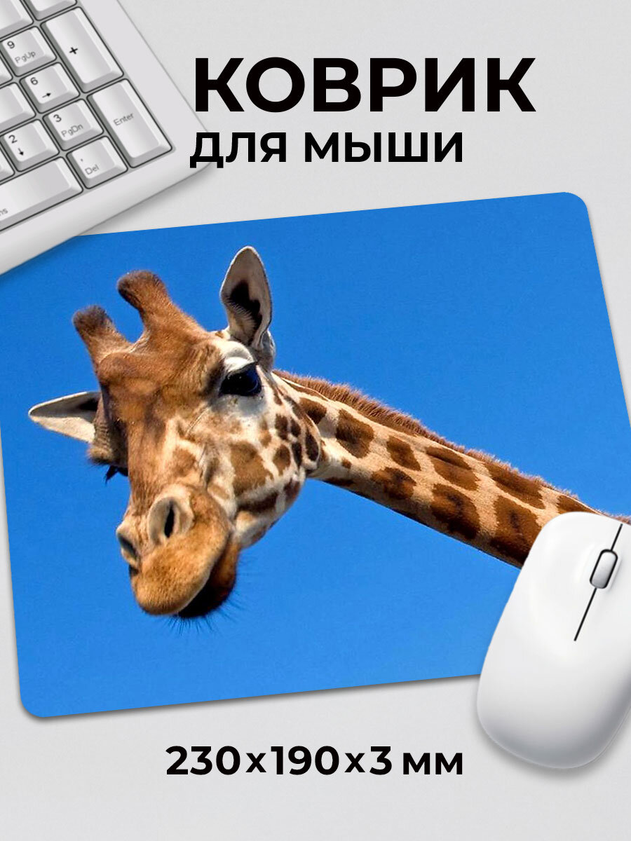 Коврик для мышки игровой маленький красивый Жираф на синем фоне, на нескользящем резиновом основании 230x190x3 мм