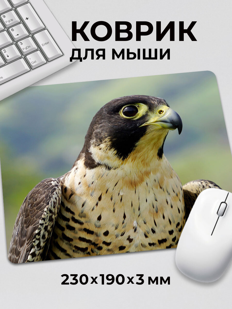 Коврик для мышки игровой маленький Сапсан птица c тканевой поверхностью, на нескользящем резиновом основании