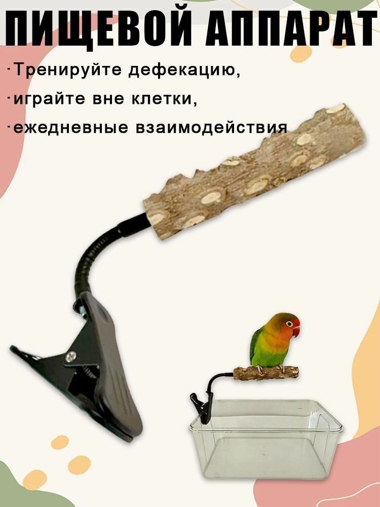 Деревянная жердочка на прищепке для птиц, украшение для клетки, подходит для попугаев.