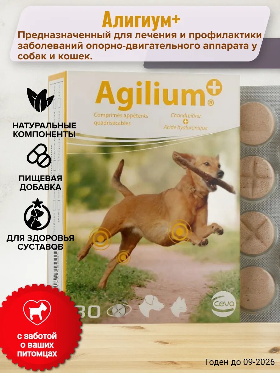 Агилиум+ для лечения опорно-двигательного аппарата у собак и кошек