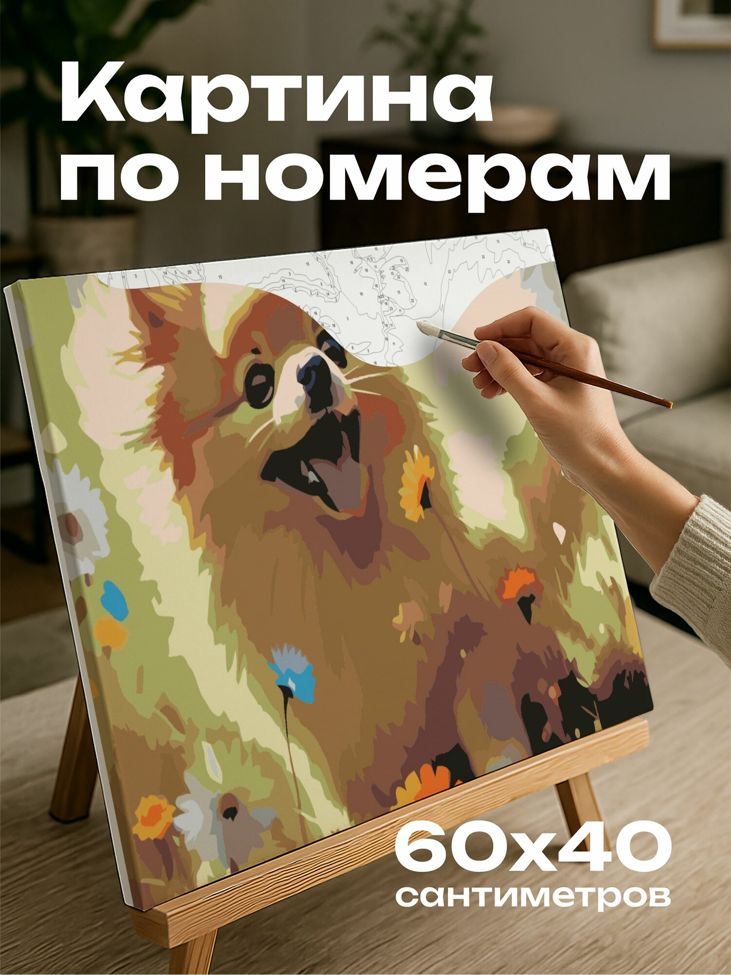 Картина по номерам 60x40 см, шпиц, цифровой рисунок, игривость, поле, яркие цвета, пушистая шерсть, солнце, радость