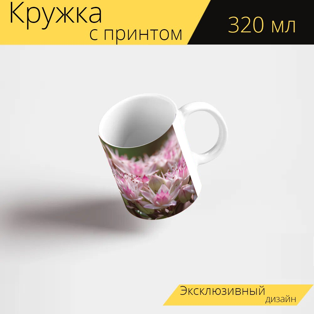 Кружка с рисунком, принтом "Пчела, очиток, цветочная пыльца" 320 мл.