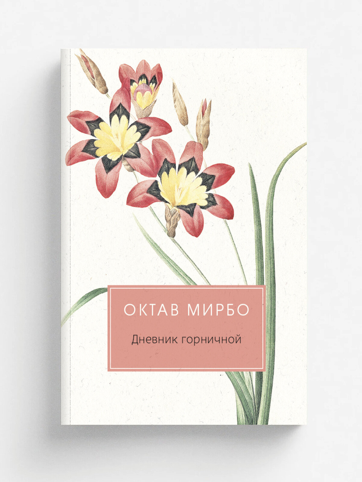 Дневник горничной