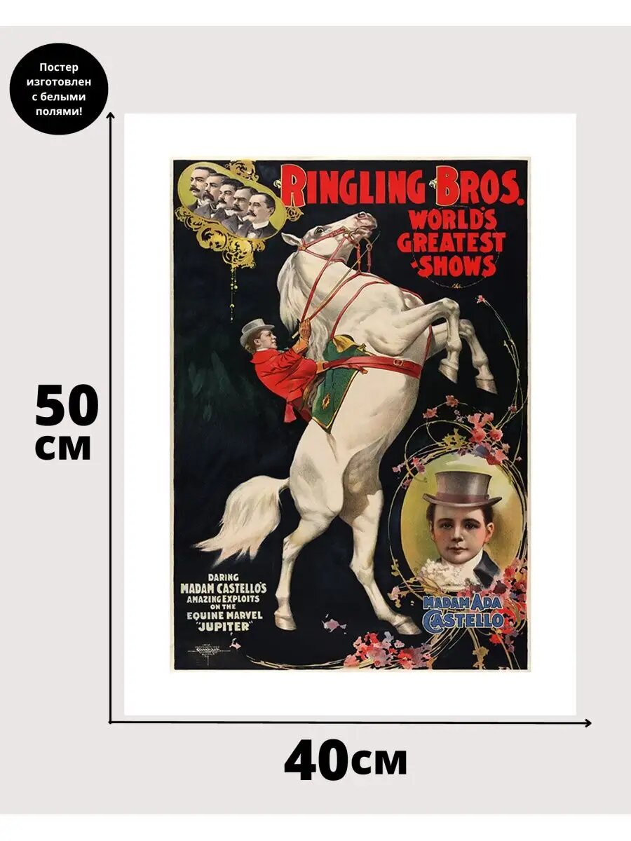 Постер лошадь конный спорт в ретро стиле