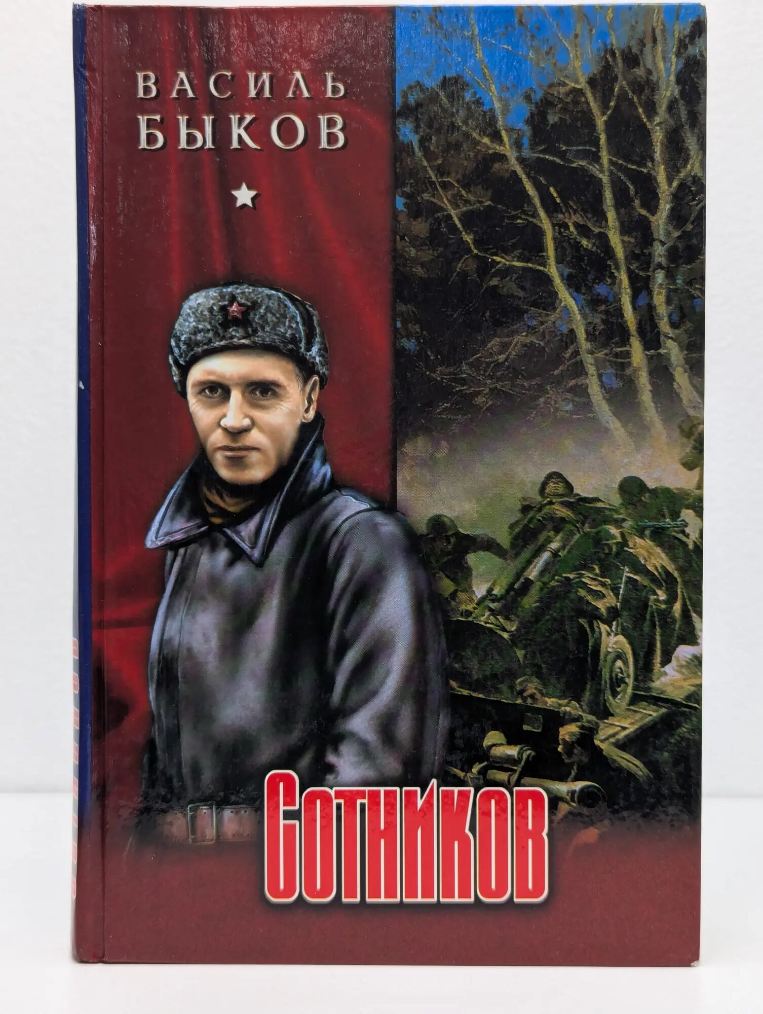 Сотников Быков Василь Владимирович 2004