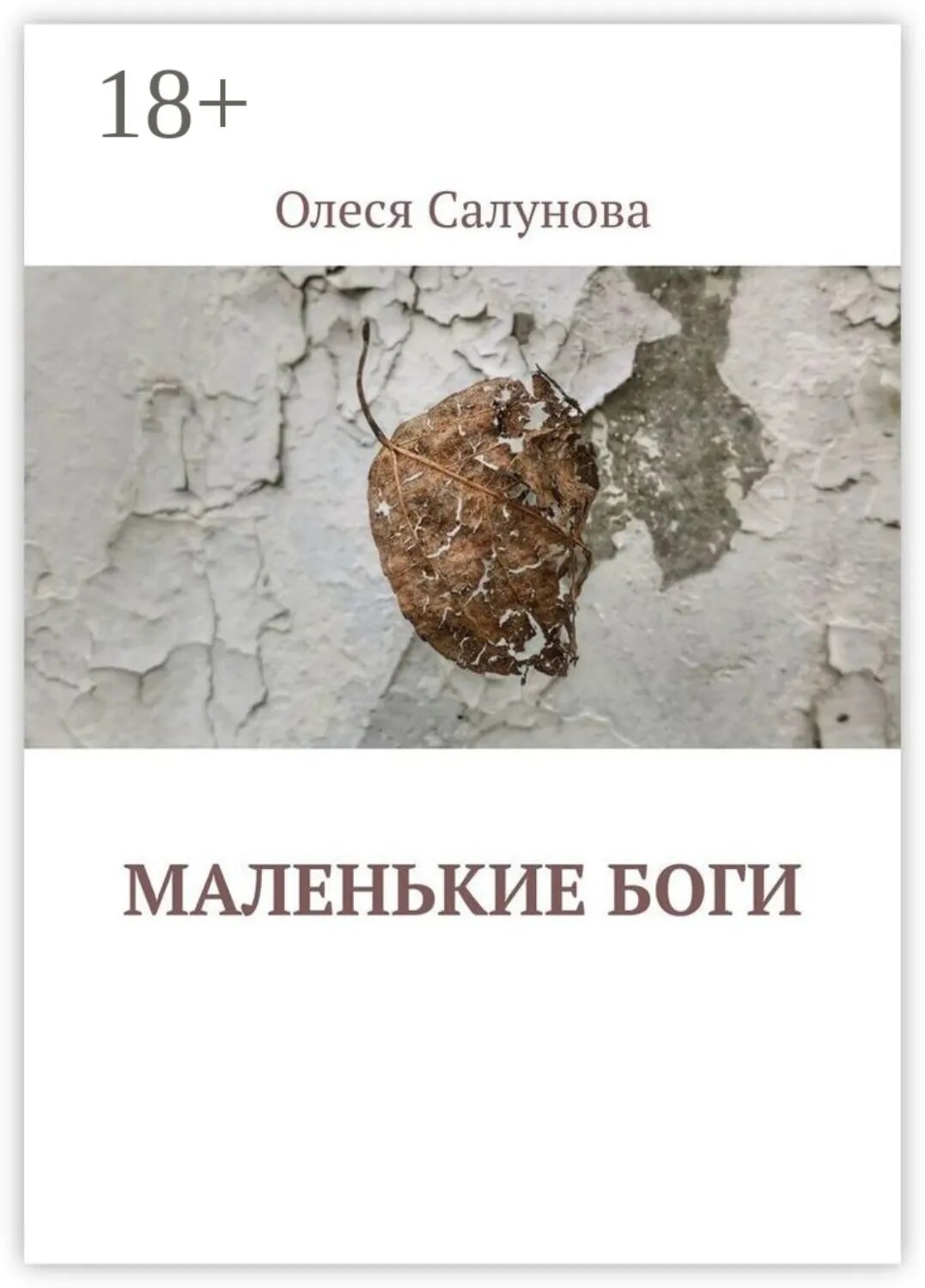 Маленькие боги [Цифровая книга]