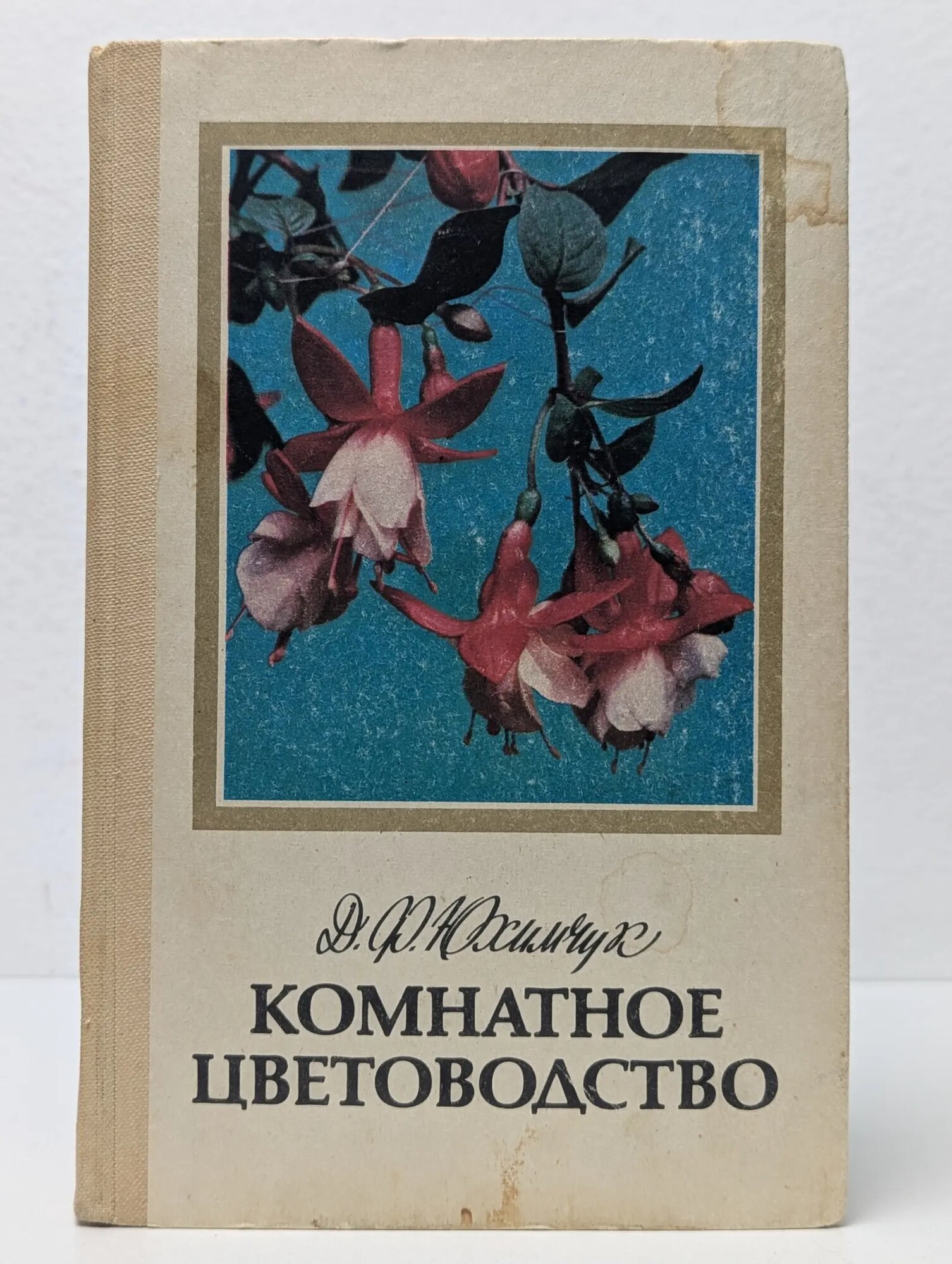 Комнатное цветоводство Юхимчук Данил Филиппович 1985