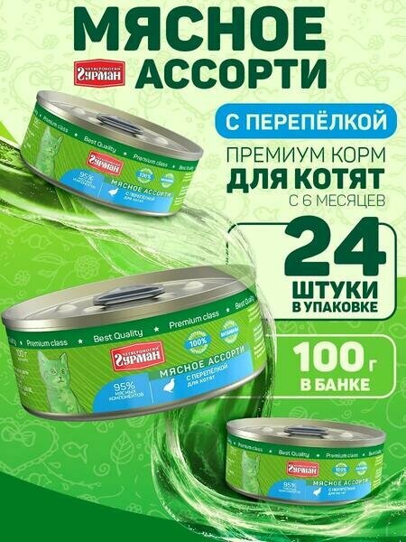 Четвероногий гурман 24 шт по 100 г влажный корм для котят мясное ассорти с перепелкой