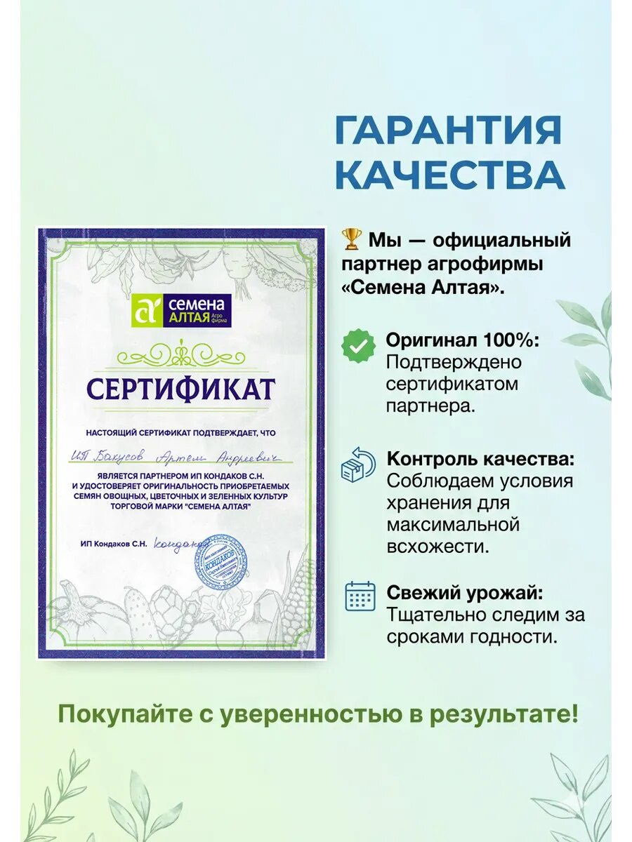 Семена томатов Кулема для открытого грунта и теплиц, 2 пачки — фото 1