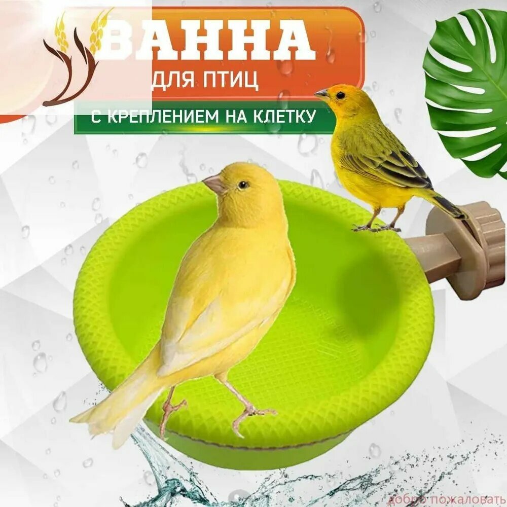 Ванночка для животных