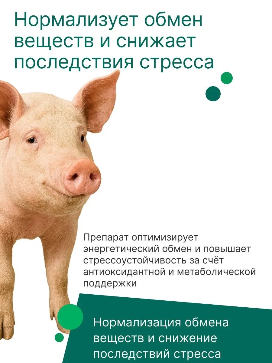 NITA-FARM Нитамин, витамины А, D3, E, C, инъекции, для птиц, овец, кроликов, кошек, лошадей, собак — фото 1