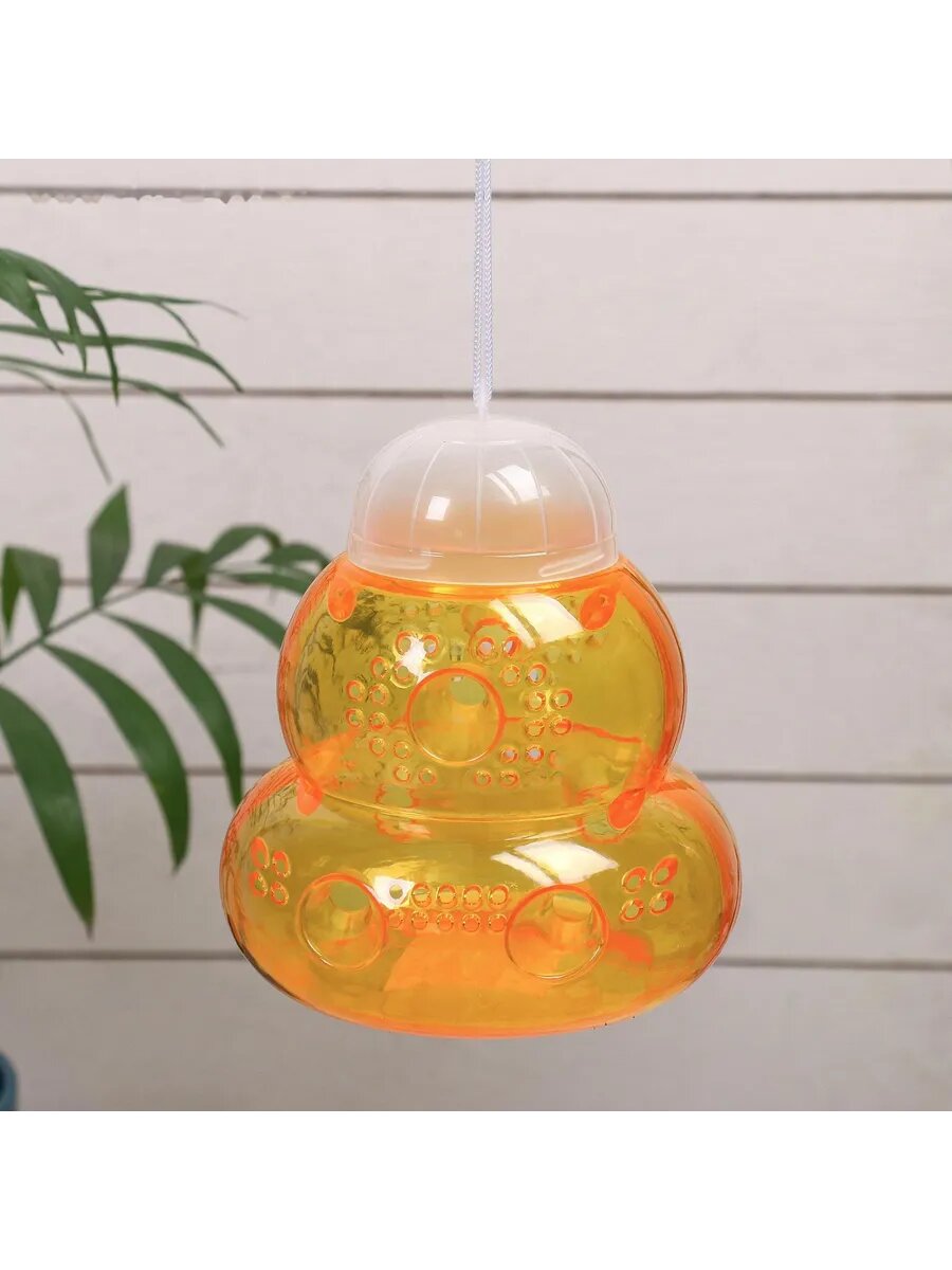 Ловушка для насекомых