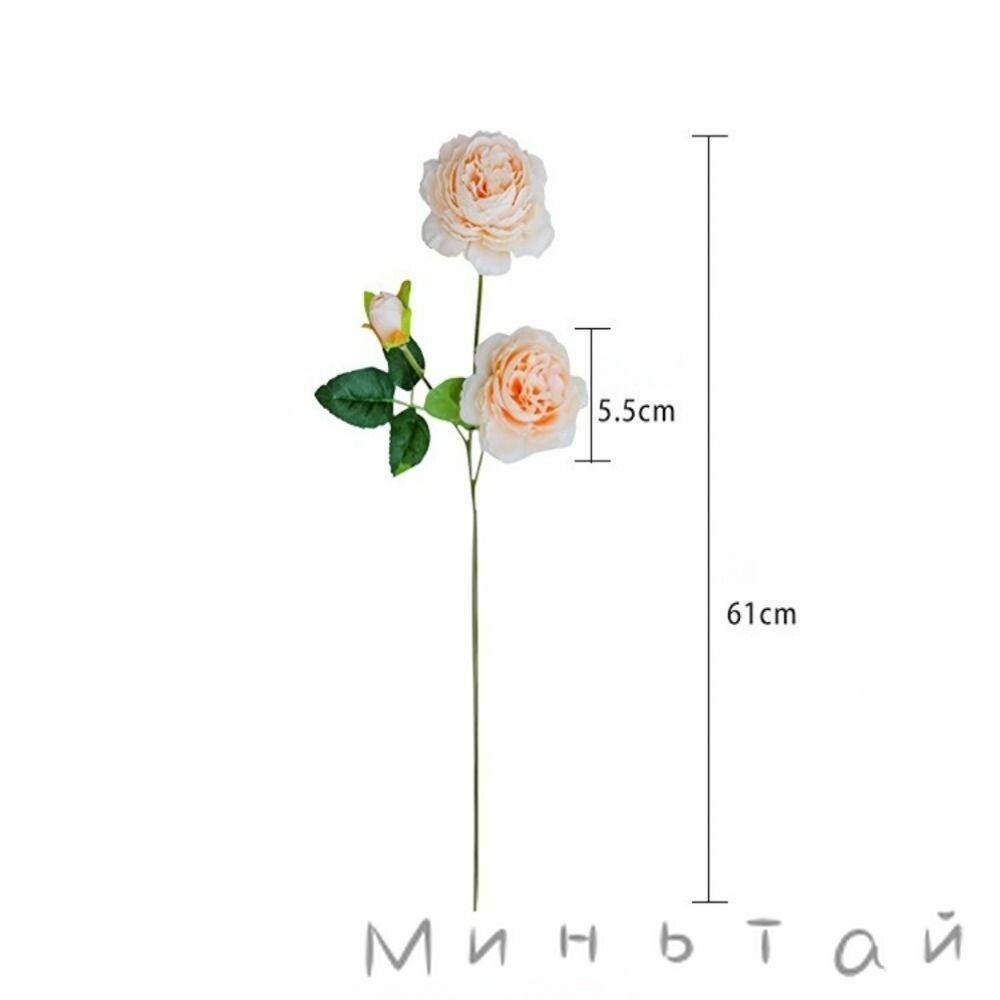 Стабилизированные цветы — фото 1
