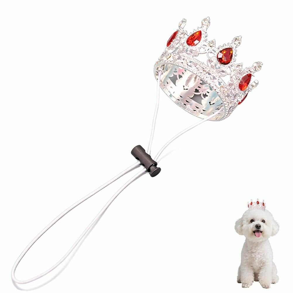 Домашняя корона - головной убор для кошек и собак