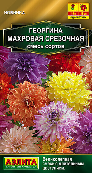 Георгины "Махровая смесь", высокорослые, махровые цветы, высота до 1,5м