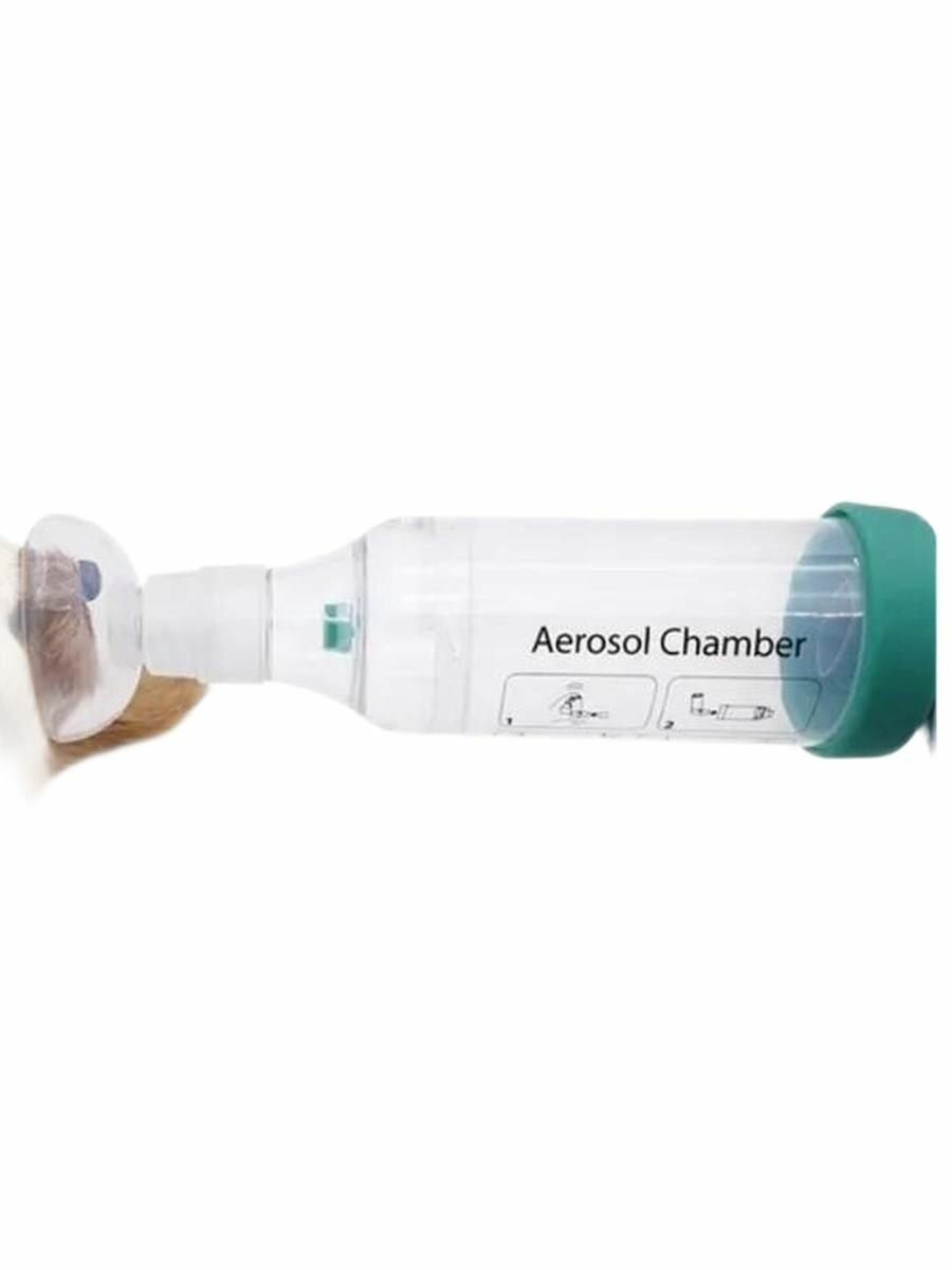 Aerokat, Aerodawg, спейсер, ветеринарный ингалятор для собак и кошек