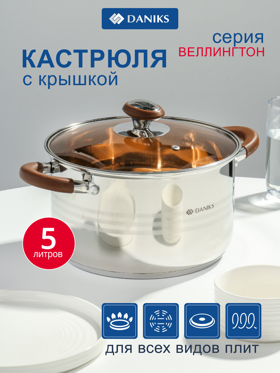Кастрюля Daniks Веллингтон 5 л из нержавеющей стали с крышкой, для индукционных плит, 22 см, GS-01415-22CA