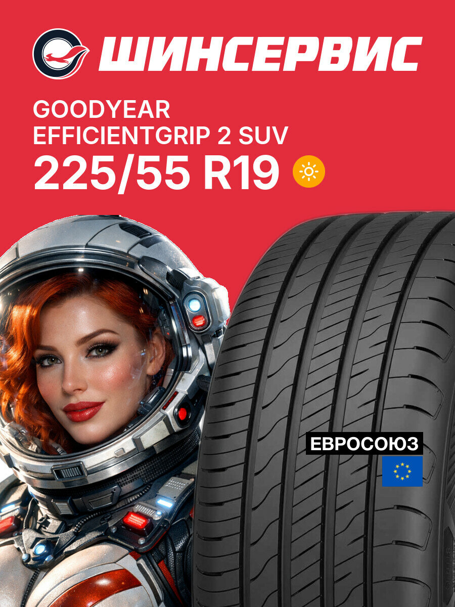 Летняя шина Goodyear EfficientGrip 2 SUV 225/55 R19 99V