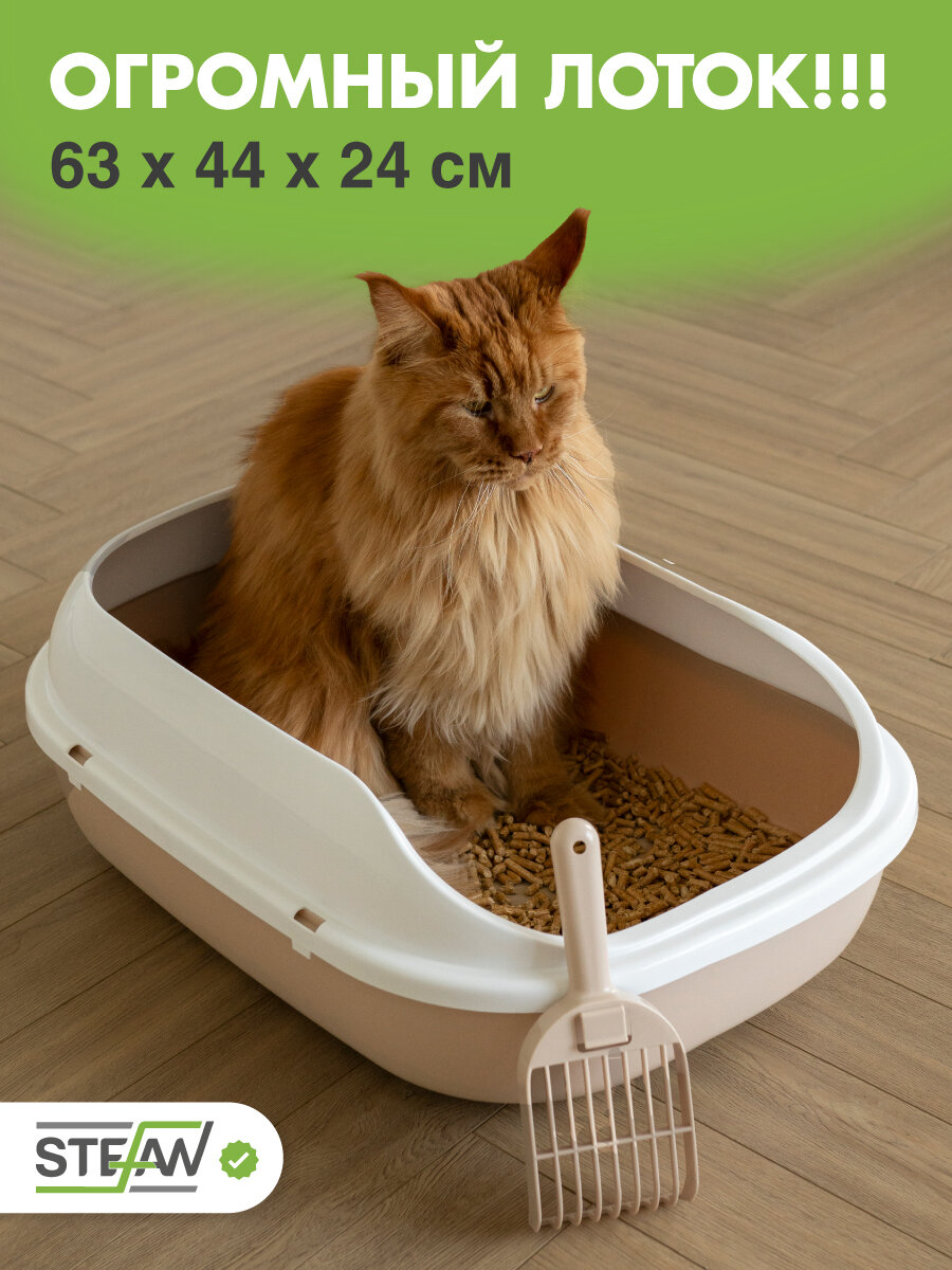 Лоток для кошек с высокими бортиками STEFAN (Штефан) большой, под наполнитель(ХL), 63х45х24, BP29013, бежевый