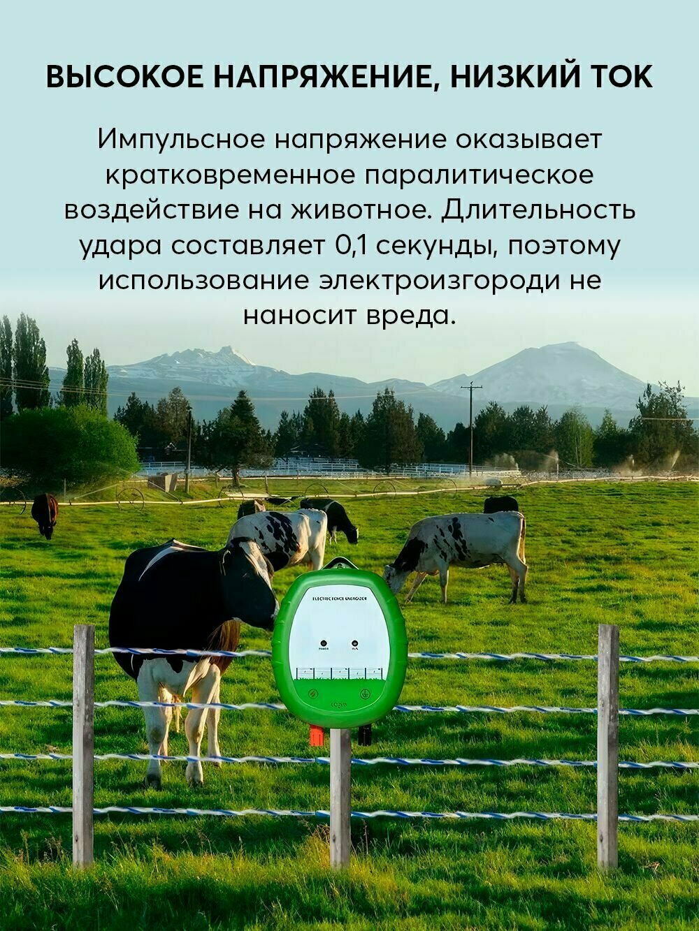 Электропастух — фото 1